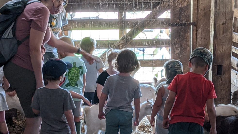 Nature Preschool - Learning Tree Farm