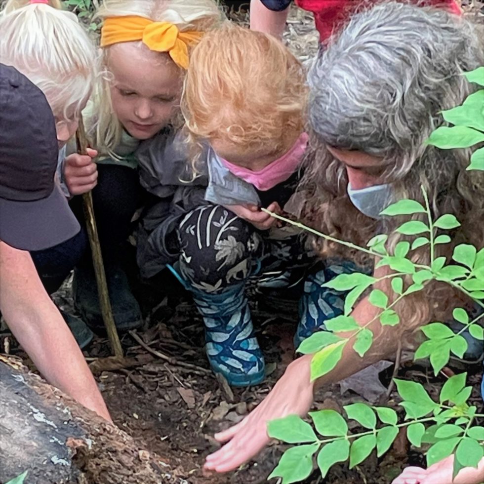 Nature Preschool - Learning Tree Farm