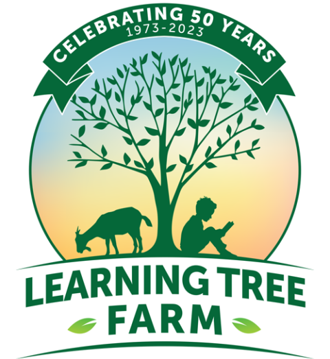 Nature Preschool - Learning Tree Farm