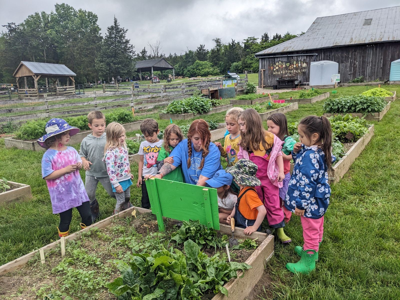 Nature Preschool - Learning Tree Farm