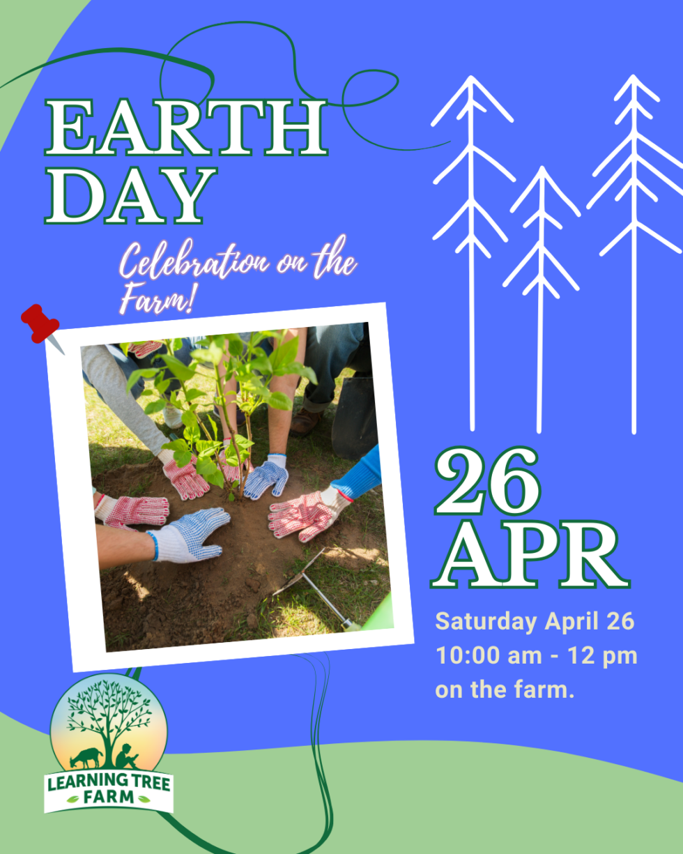 Homepage - Learning Tree Farm