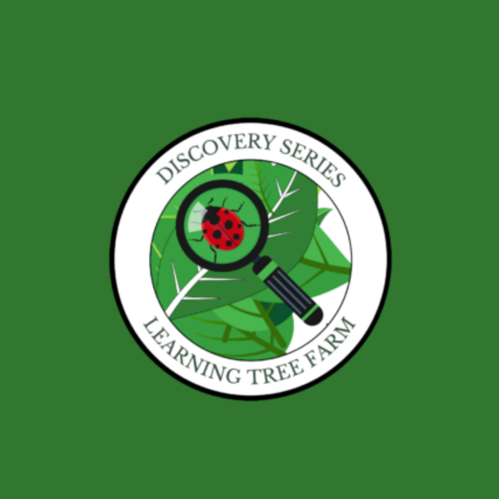 Community & Family Programs - Learning Tree Farm