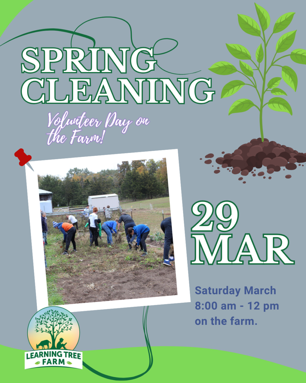 Homepage - Learning Tree Farm