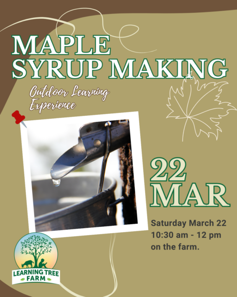 Homepage - Learning Tree Farm