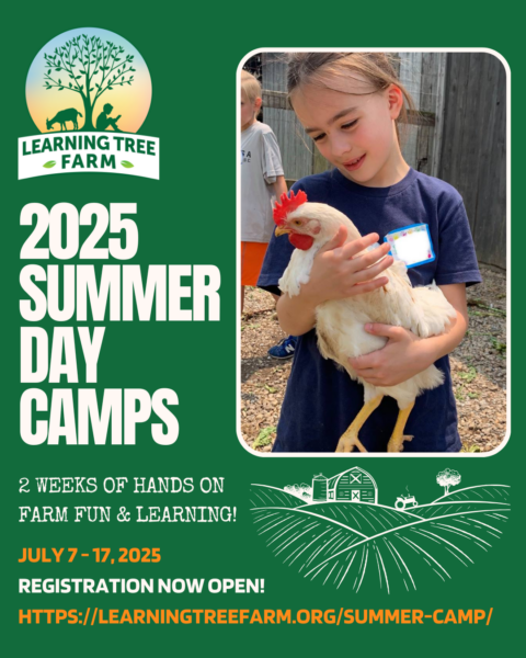 Homepage - Learning Tree Farm