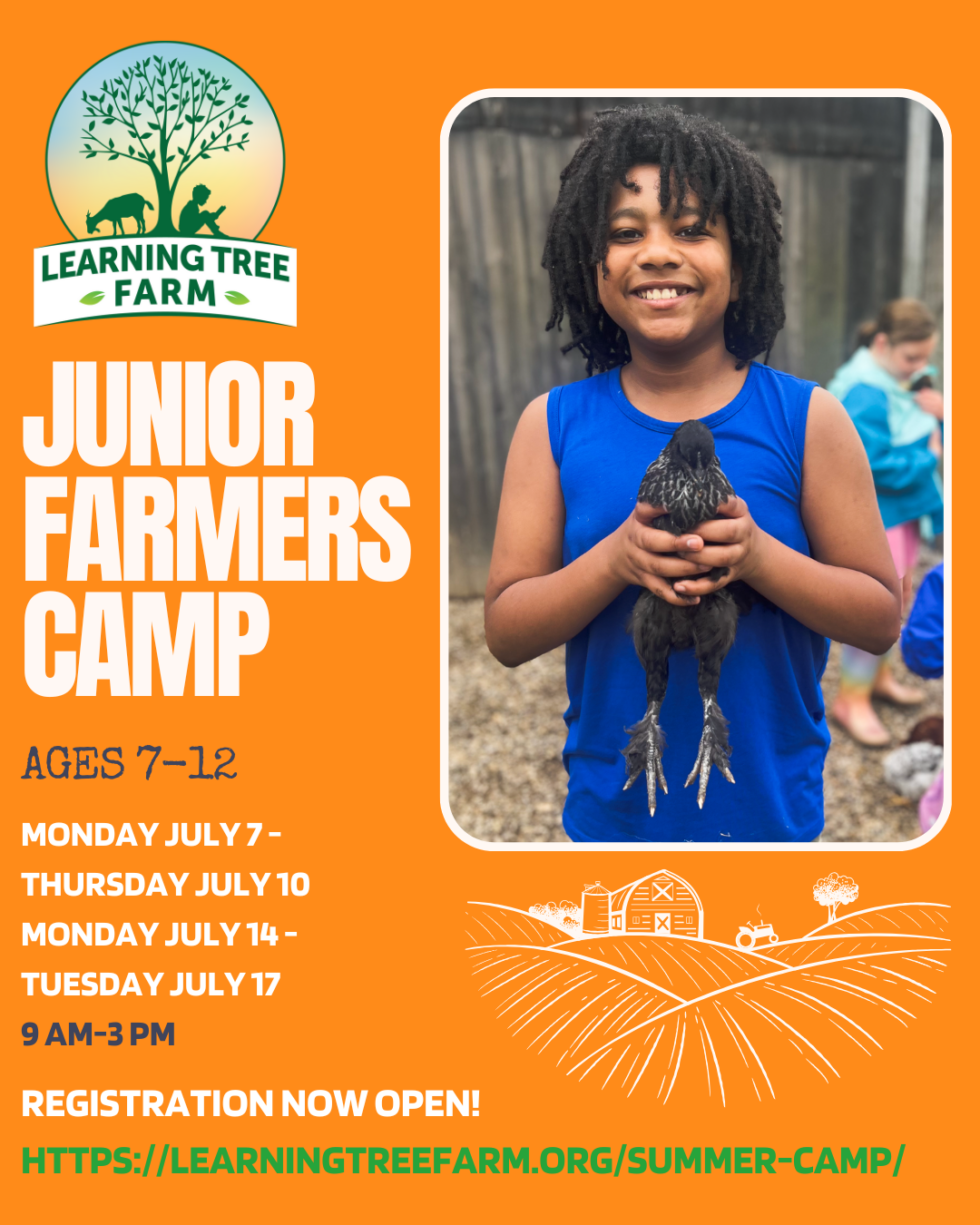 Summer Camp - Learning Tree Farm