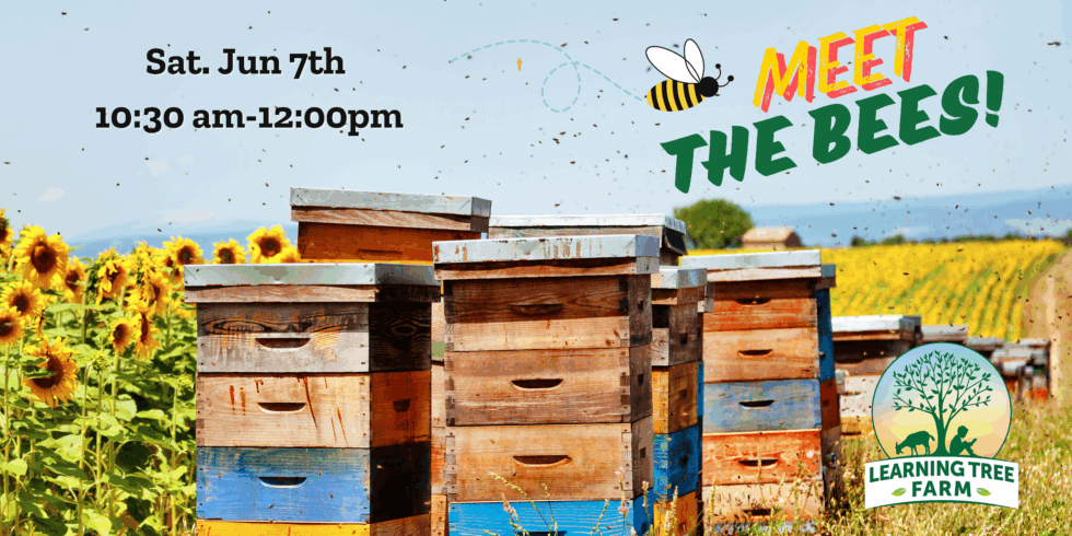 Homepage - Learning Tree Farm