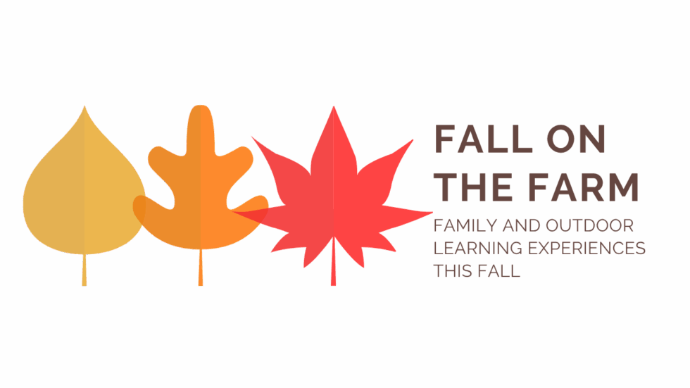 Homepage - Learning Tree Farm